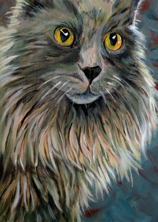 Pet Portraits – LINDS SANDERS